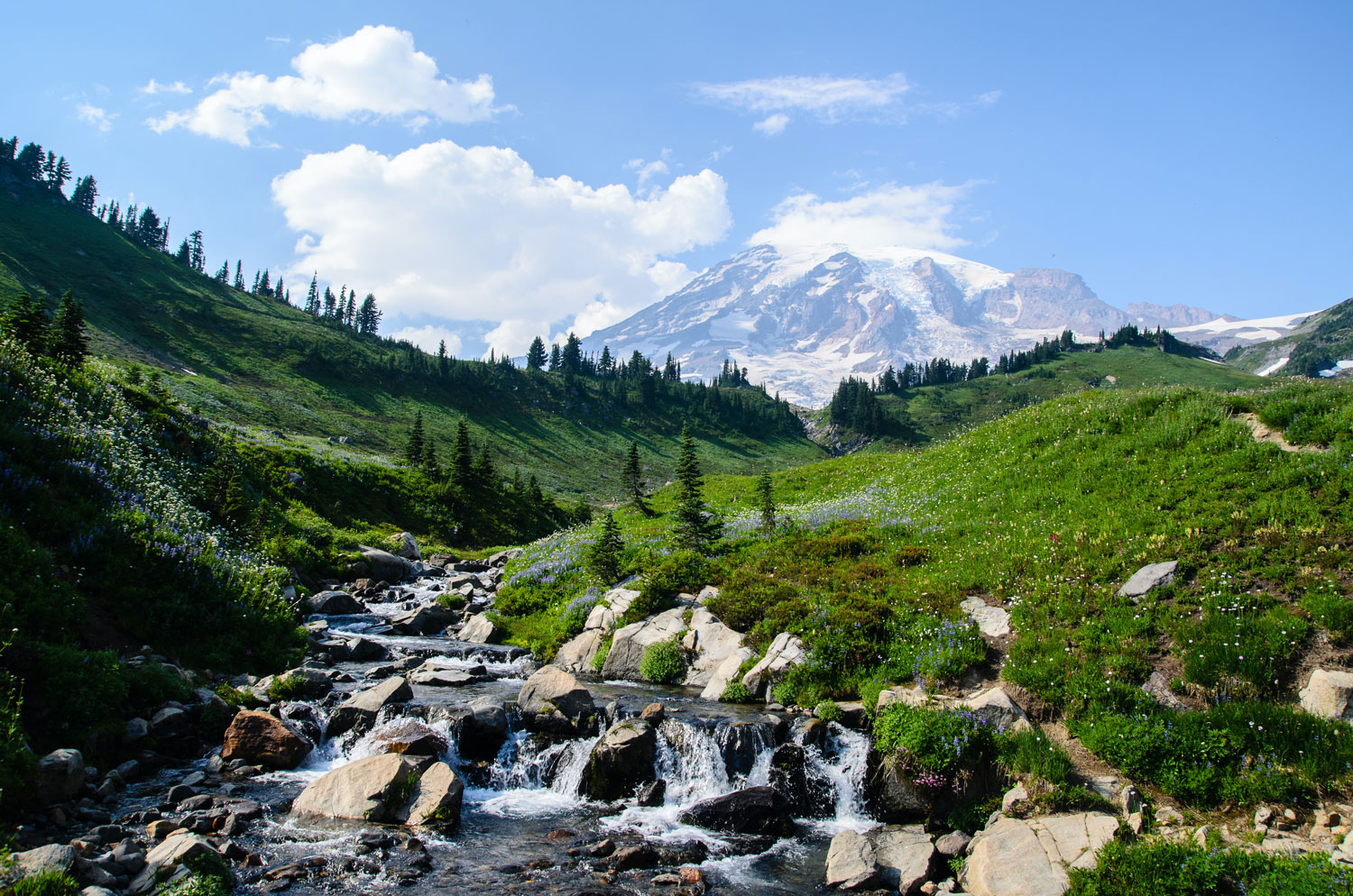 Visit Seattle Top Places to See Nature in Seattle - Visit Seattle